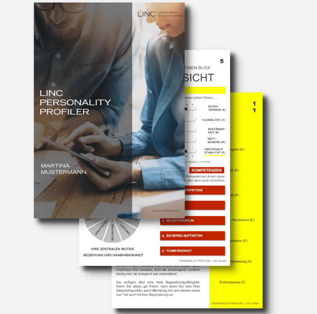 Big 5 for life - Focus | 90 min. Coaching basierend auf Personality-Test